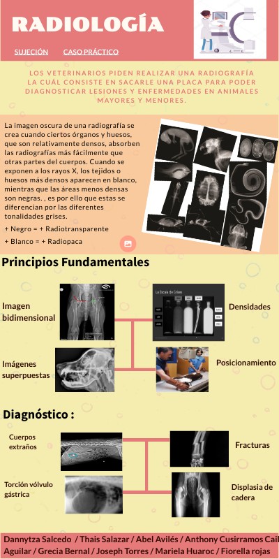 RADIOLOGÍA - INTRO MVZ - Trabajo Grupal | Genially