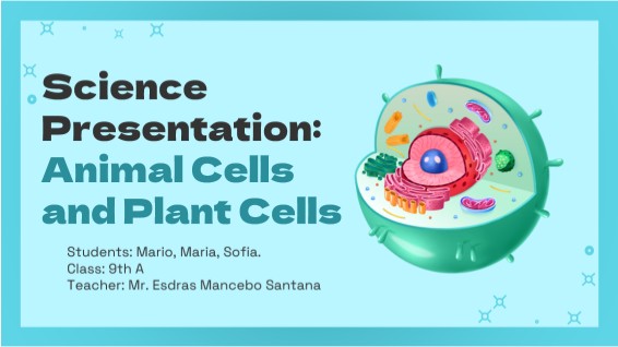 Animal And Plant Cells | Genially