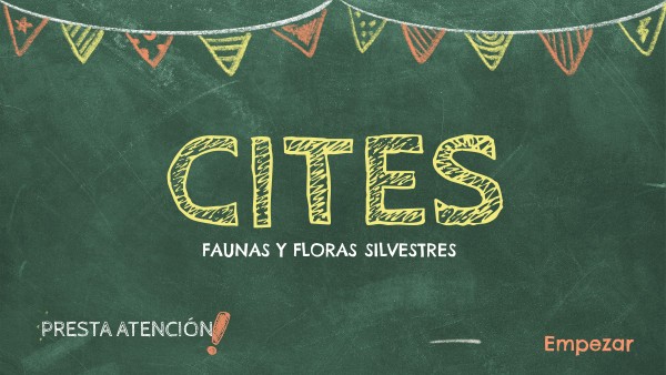 MÓDULO DIDÁCTICO PIZARRA ANIMADA | Genially