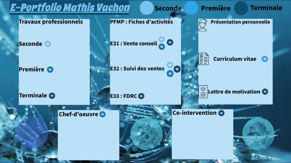 E-Portfolio Mathis VACHON
