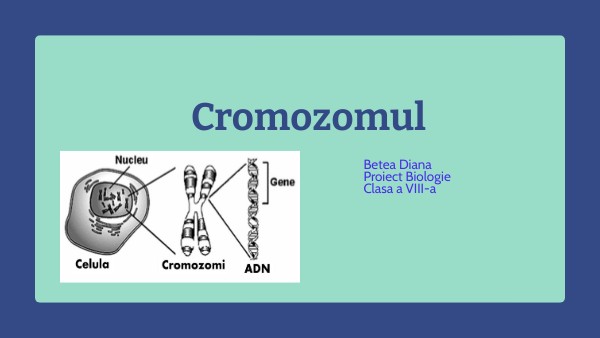 cromozomul