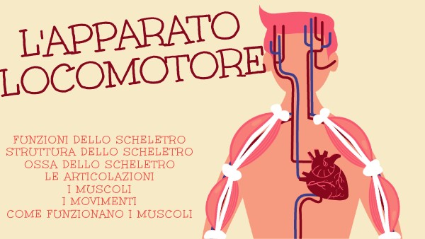 L'apparato locomotore