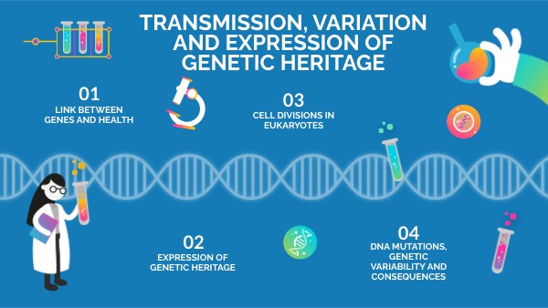 Transmission, variation and expression of genetic heritage