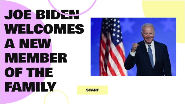 Very Important Pets | Genially