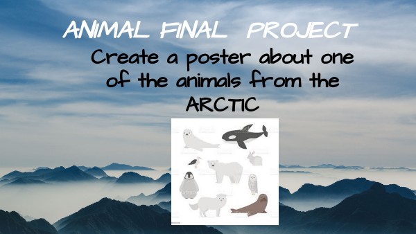 ANIMAL FINAL PROJECT