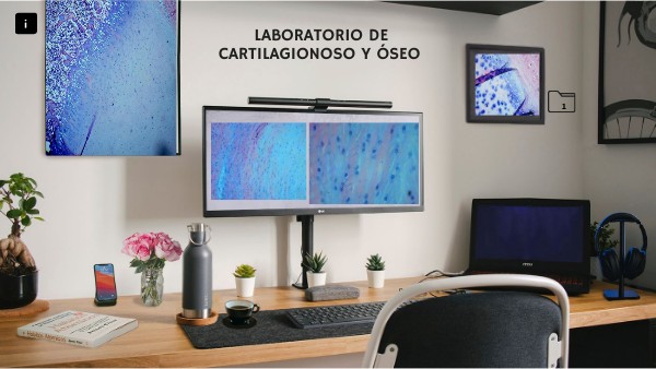Imagen interactiva oficina | Genially