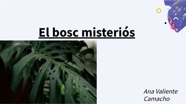 El bosc misterios