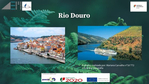 Rio Douro | Genially