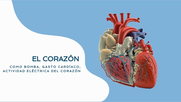 HEALTH PRESENTATION