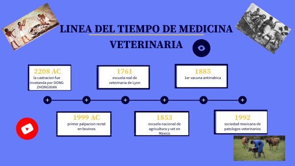 HISTORIA DE LA MEDICINA VET. | Genially