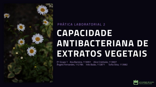 Microparticles Presentation