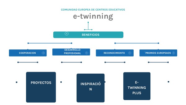 MAPA CONCEPTUAL etwinning