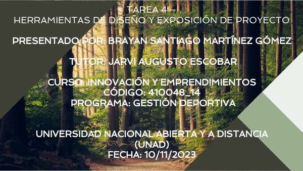 PRESENTACIÓN PROYECTO DIAGONAL