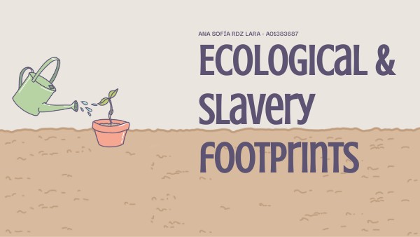 Ecological & slavery footprints | Genially