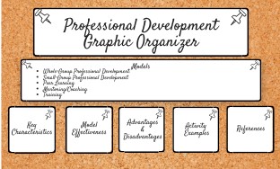Professional Development Graphic Organizer