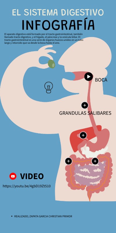 INFO VERTICAL DIGESTIVO