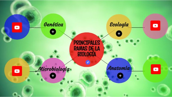 Ramas de la biología. | Genially