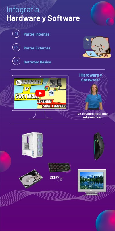 Infografia hardware y software