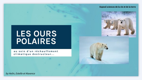 Exposé ours polaire | Genially