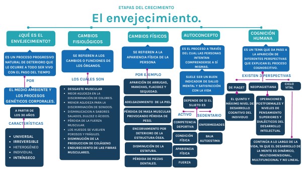 Mapa conceptual "El envejecimiento". | Genially