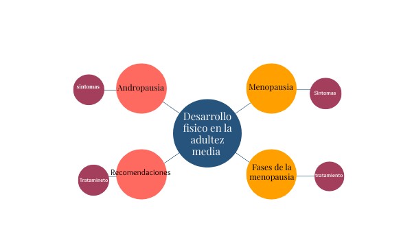 MAPA MENTAL CIRCULAR ESQUEMA | Genially