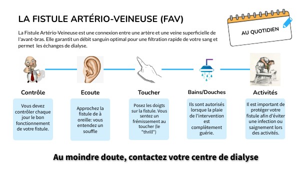 Fistule quotidien | Genially