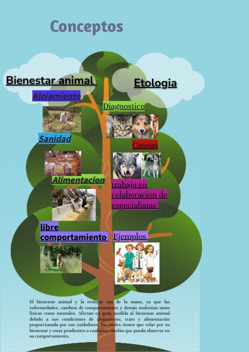 ÁRBOL INTERACTIVO | Genially