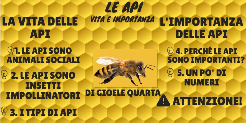 Le api- Gioele Quarta