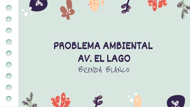 PROBLEMATICA AMBIENTAL
