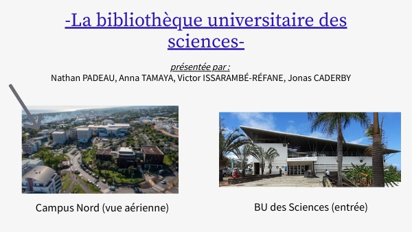 Étude sur la BU des Sciences | Genially