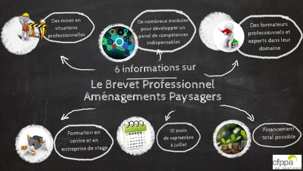 les + du BP AP | Genially