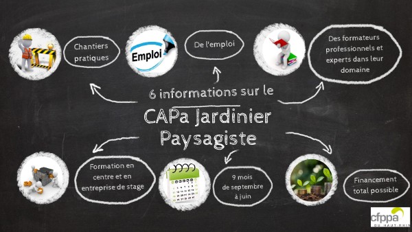 Les + CAPA JP | Genially