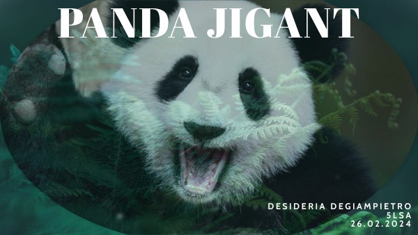 PANDA | Genially