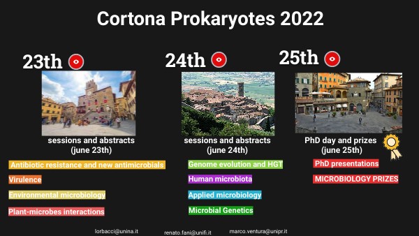 Cortona 2022