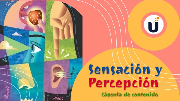 Sensación y Percepción | Genially