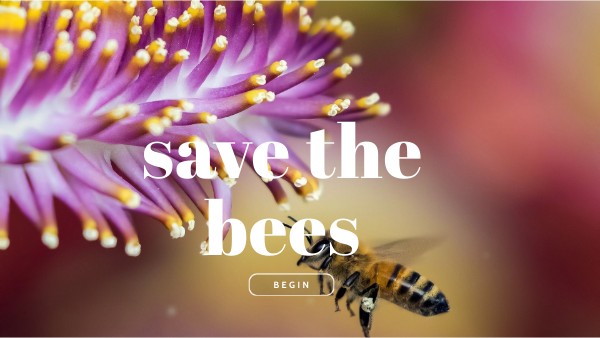 SAVE THE BEES | Genially