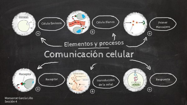Infografía comunicación celular | Genially