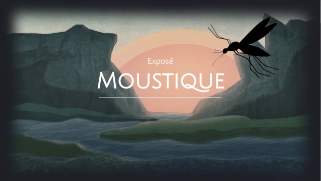 Moustique