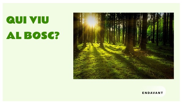 memory animals bosc | Genially