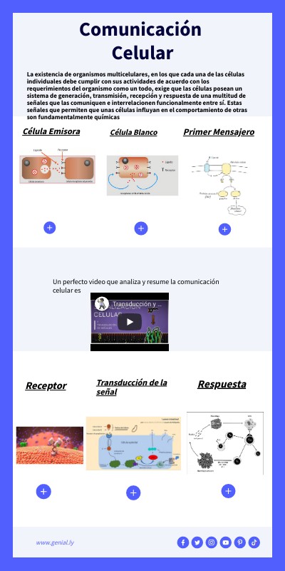 Comunicación Celular | Genially