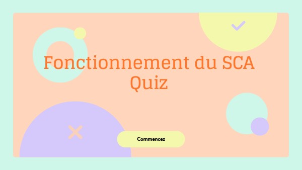 🇫🇷 Fonctionnement du SCA
