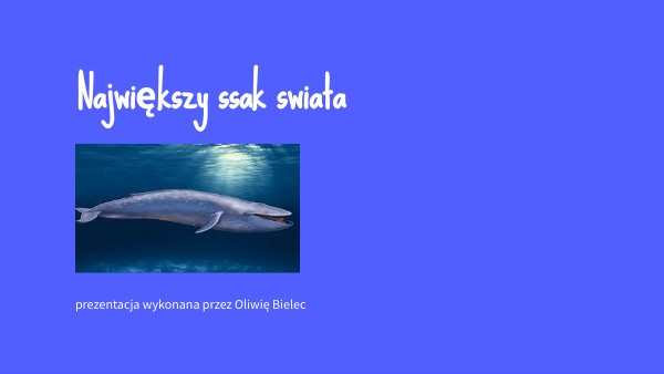Największy ssak na świecie