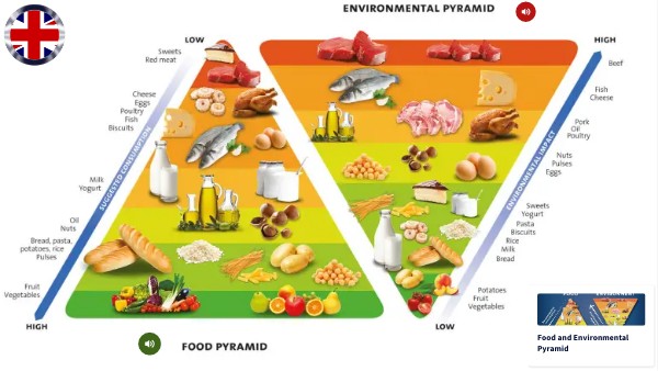 Food Pyramid