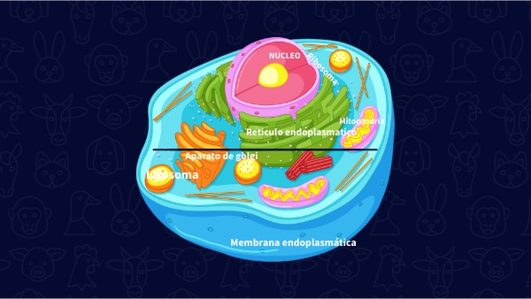 Imagen interactiva esencial