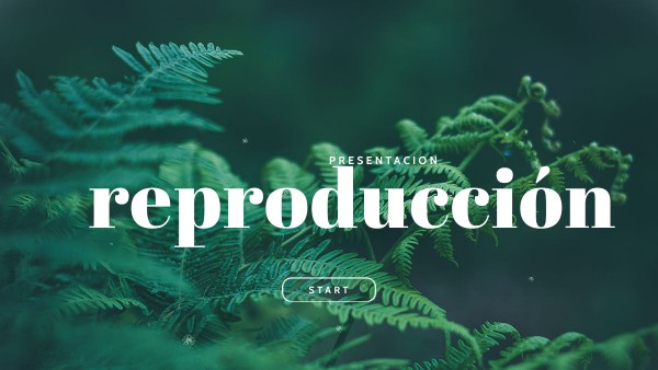 Copy - NATURE PRESENTATION