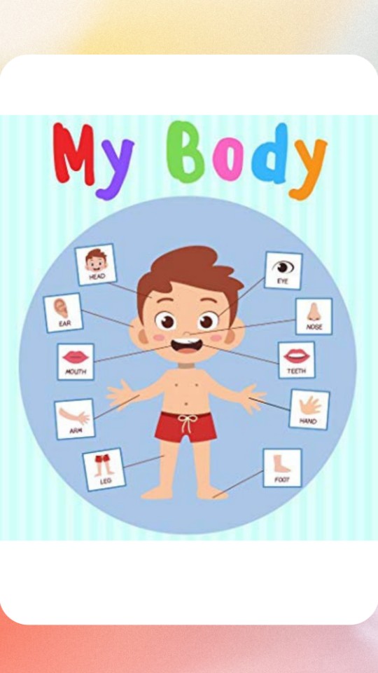 My body
