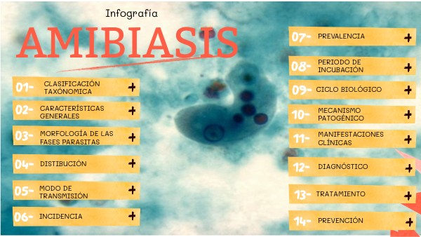 INFOGRAFÍA AMIBIASIS MEL | Genially
