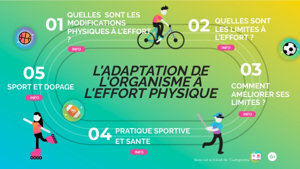 Adaptation de l'organisme à l'effort physique | Genially