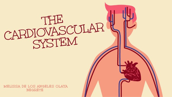 MON - CARDIOVASCULAR SYSTEM - 10MO A - ESSAY