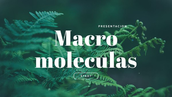 Macromoleculas | Genially